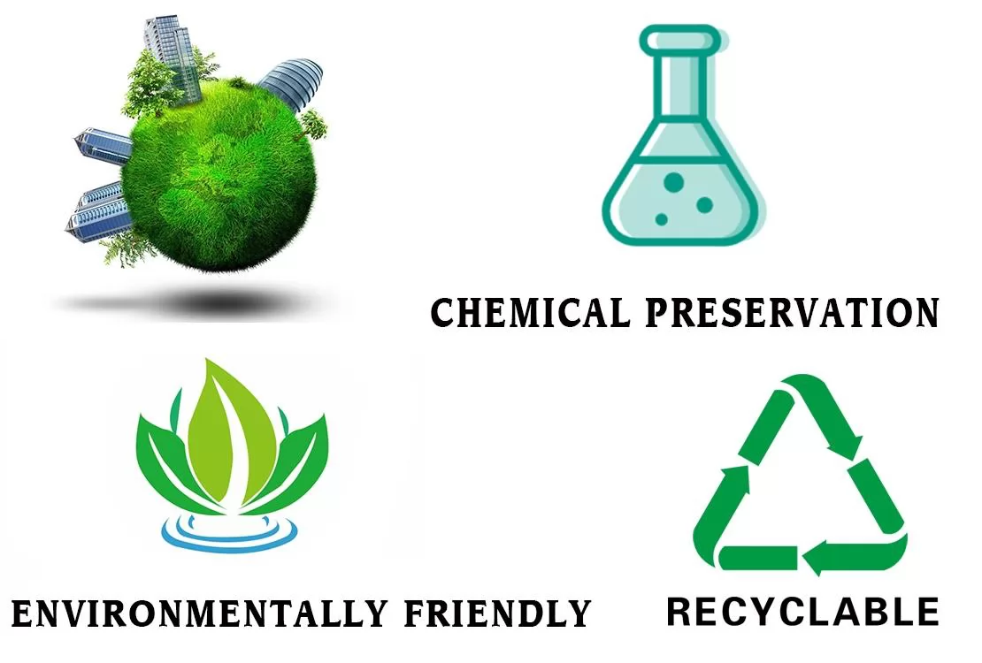 A Greener Future Begins with Stainless Steel Fasteners — Meigesi’s ...